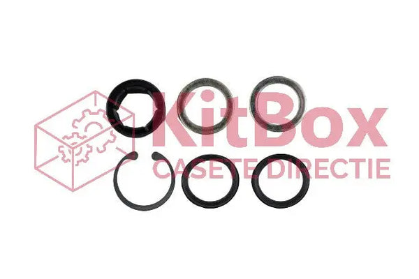 Steering Repair Kit Renault, BCM, 40850162 AS11075, 18D